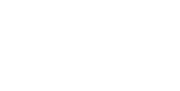 Promociones | ZING MEXICO