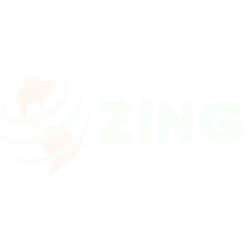 Zing | ZING MEXICO